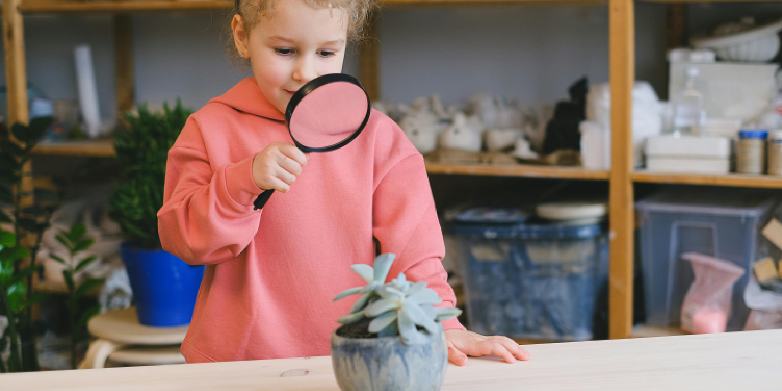 Best Indoor Plant Stands for Beginners – amoyls