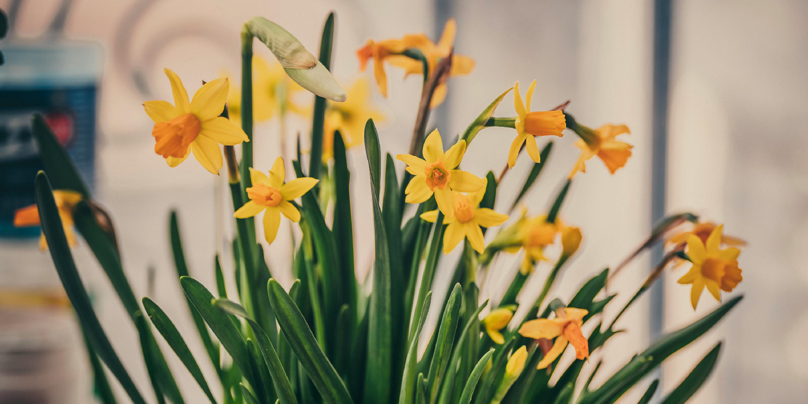 Plant Stand with Light: Must-Have or Gimmick? – amoyls